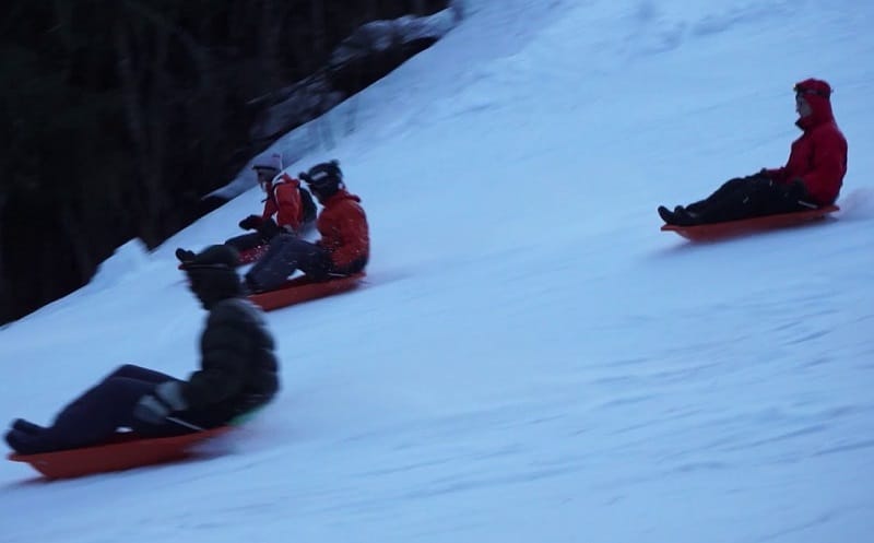 Winter and summer sledging in Haute-Savoie
