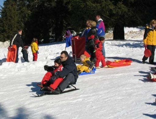 Winter and summer sledging in Haute-Savoie