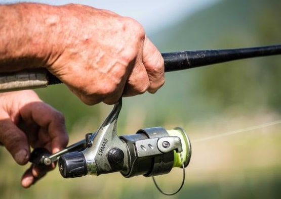 Fishing in Annecy, where to fish in the lake or river
