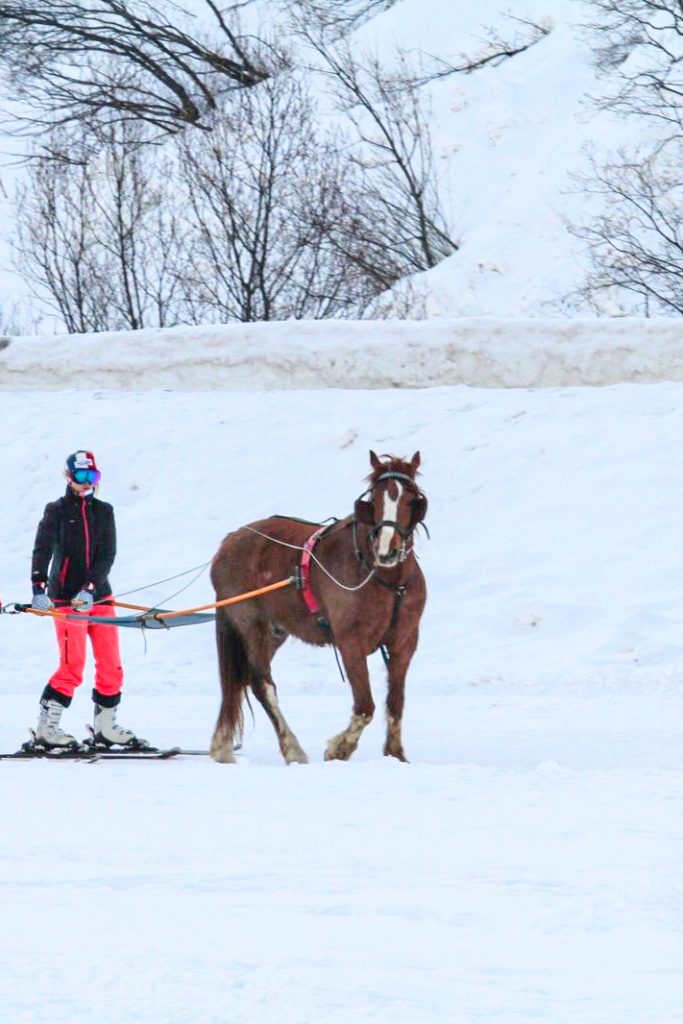 Where to go skijoring in Haute-Savoie?