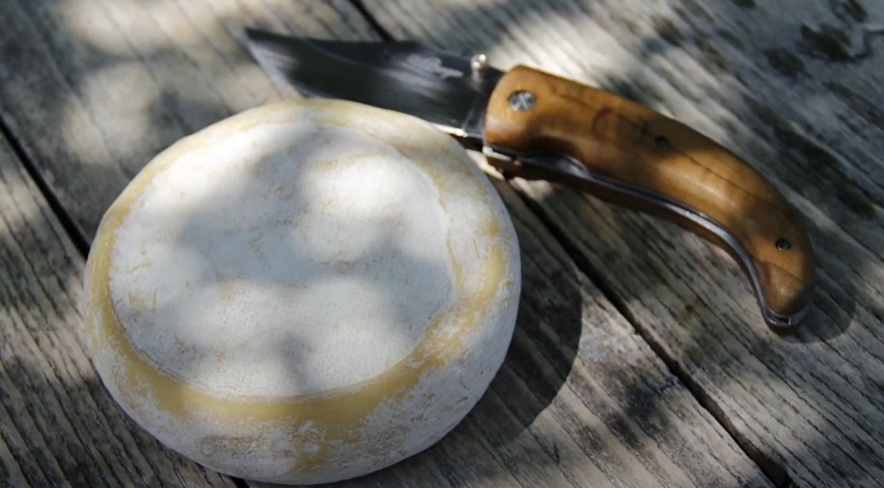 Annecy: the emblematic cheeses of the Savoie