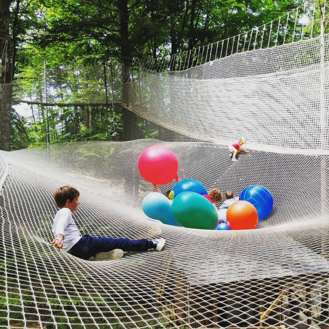 Tree climbing around Annecy : the complete guide